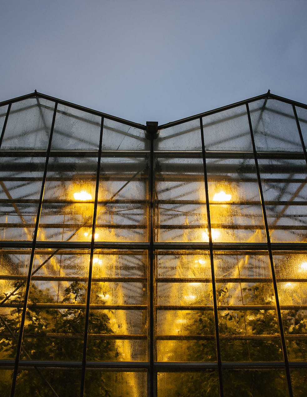 MARZENA SKUBATZ PHOTOGRAPHY — Fridheimar